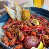 Photo Gallery – MudBugs